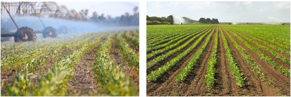 Planter vs Air Seeder
